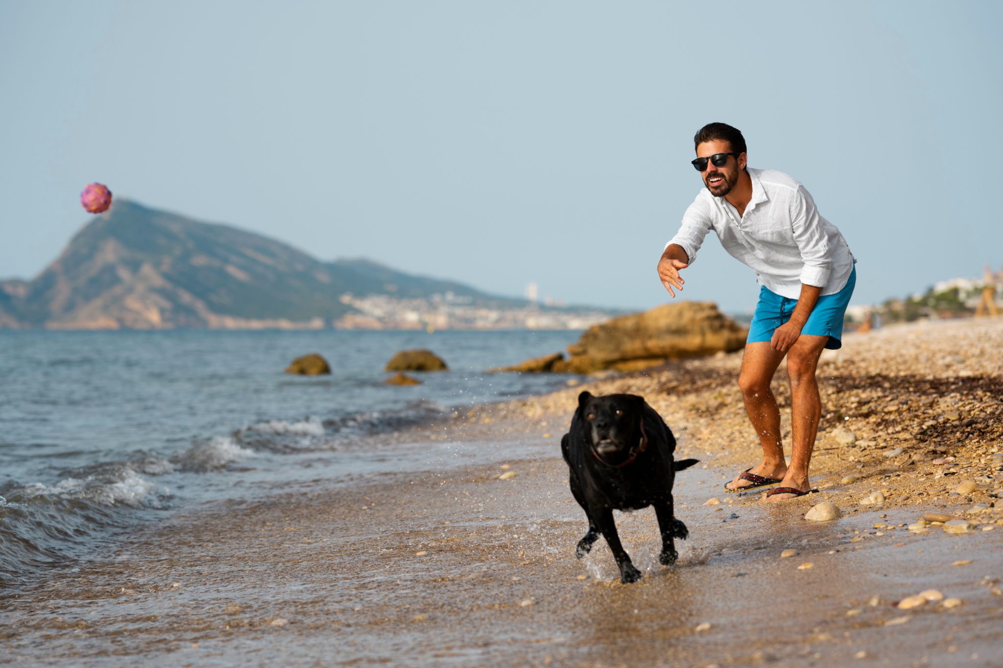 Vacanze sostenibili in compagnia dei vostri animali domestici - junker